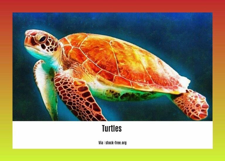 Are Tortoises Dangerous to Humans? A Seasoned Wildlife Researcher and ...