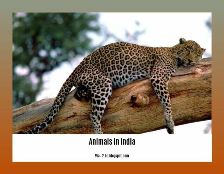 Exploring the Plight: Endangered Animals in India and Urgent ...