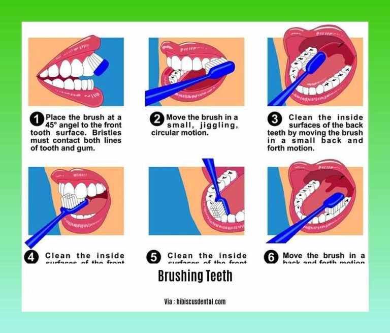 The Ultimate Guide to Brushing Teeth: 10 Essential Facts About Brushing ...