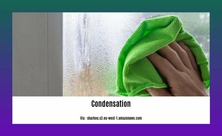 Fascinating Facts About Condensation: Uncovering the Mysteries of this ...