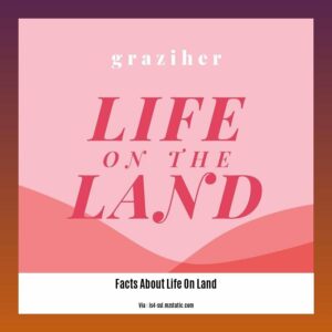 [Facts About Life on Land]: Unveiling the Wonders of Terrestrial Ecosystems