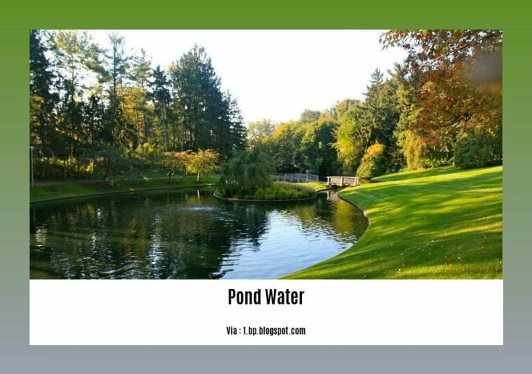 Fascinating Facts About Pond Water: Exploring the Wonders of Aquatic ...
