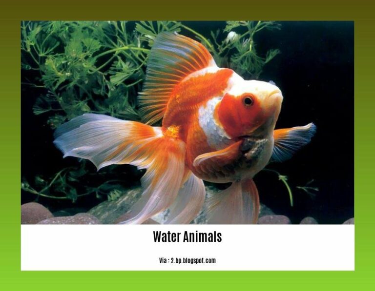 Unveiling Fascinating Facts About Water Animals: Exploring the ...