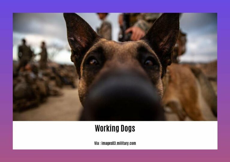 Uncovering the Incredible Facts About Therapy Dogs: A Source of ...