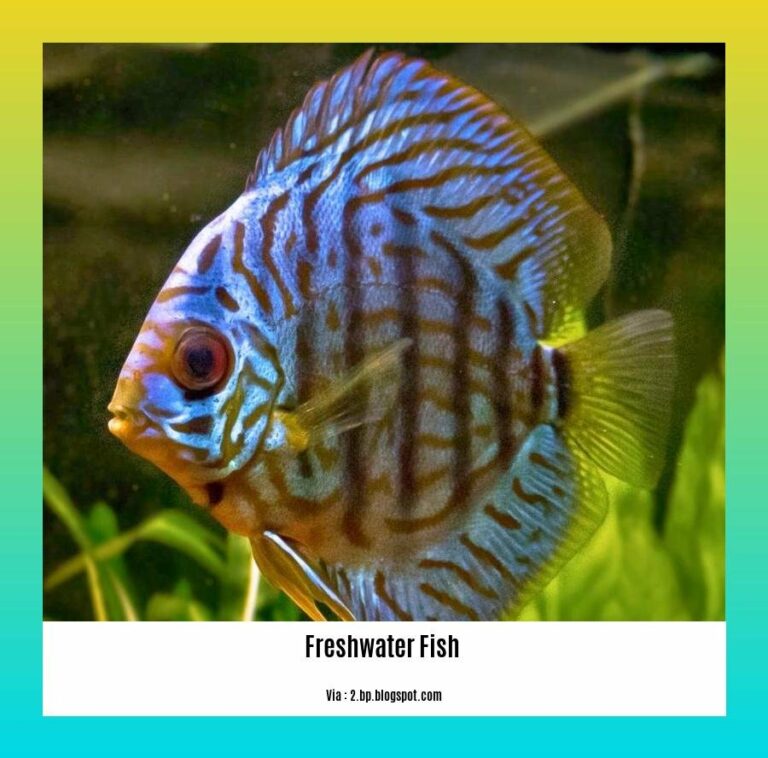 Fascinating Freshwater Fish Facts: Unlocking the Secrets of Aquatic Wonders