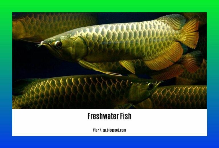 Discovering the Depths: A Comprehensive Guide to Freshwater Fish ...