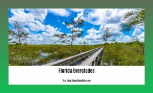 [Facts about Florida Everglades]: Unveiling the Wonders of a Unique ...
