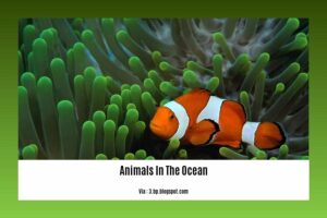 Discover the Fascinating Fun Facts about Animals in the Ocean