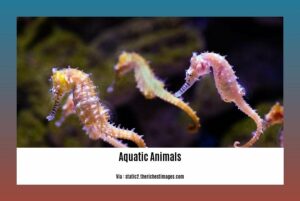 Dive into the Fascinating World: Fun Facts About Aquatic Animals Revealed