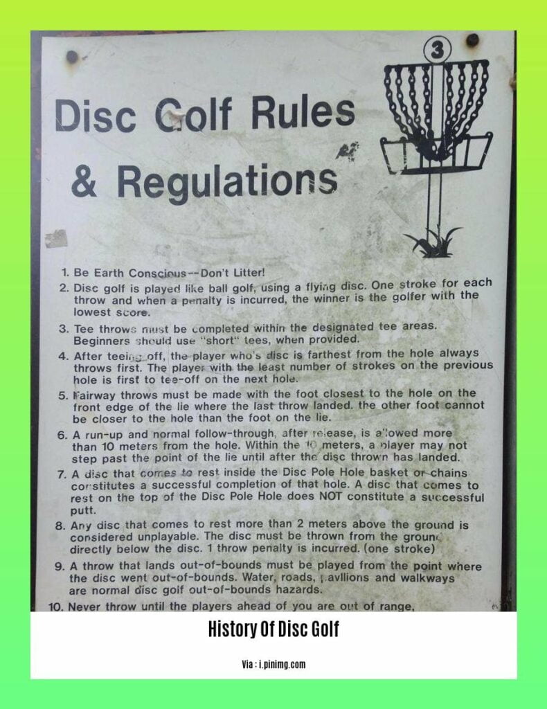 Tracing the Trajectory: A Comprehensive History of Disc Golf's ...