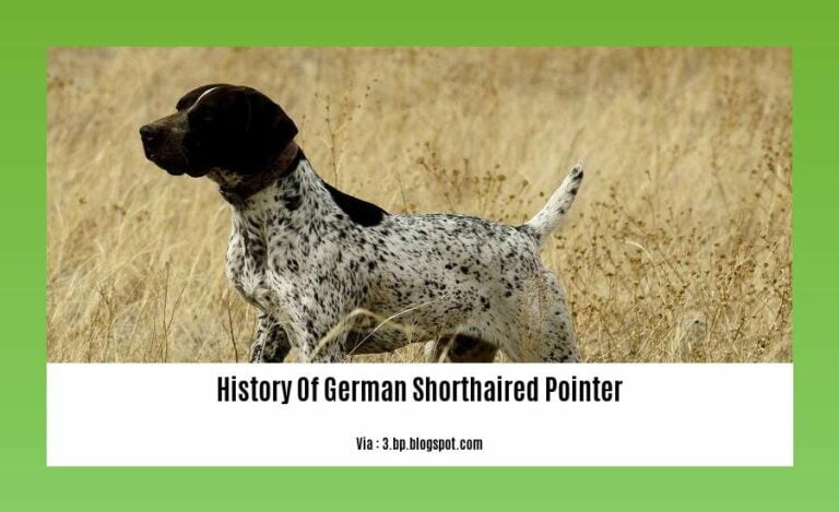 History of German Shorthaired Pointer: A Legacy of Versatility and Elegance
