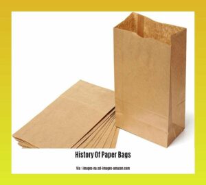 The History of Paper Bags: From Humble Beginnings to Sustainable Packaging