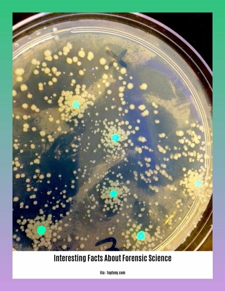 Unraveling the Mysteries: Unveiling Interesting Facts About Forensic ...