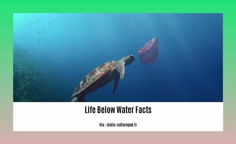 Exploring the Enigmatic Realm: Unveiling Life Below Water Facts