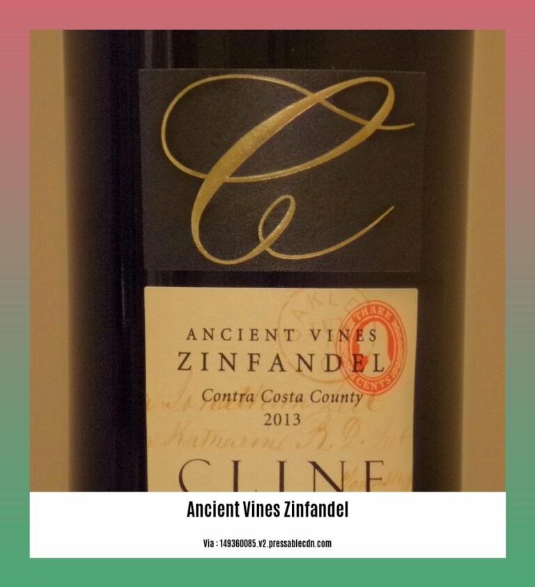 - Ancient Vines Zinfandel: Unveiling the Essence of Timeless Elegance ...