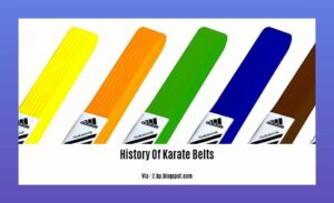 History of Karate Belts: A Comprehensive Exploration of Their Origins ...