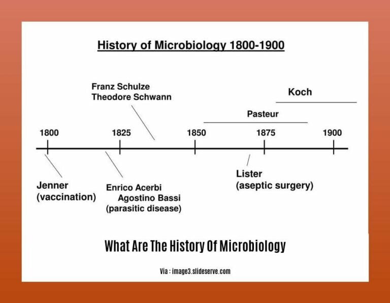 What Are The History Of Microbiology: A Journey Through Microbial ...