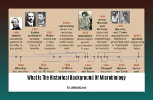 What Is The Historical Background Of Microbiology And Its Impact On Our ...