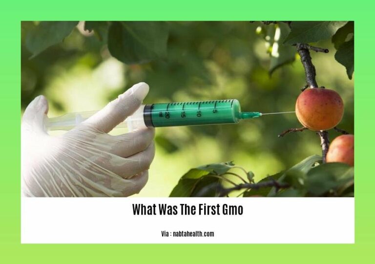 Who Created The First Gmo | When Were Gmos First Discovered – QOSSKE