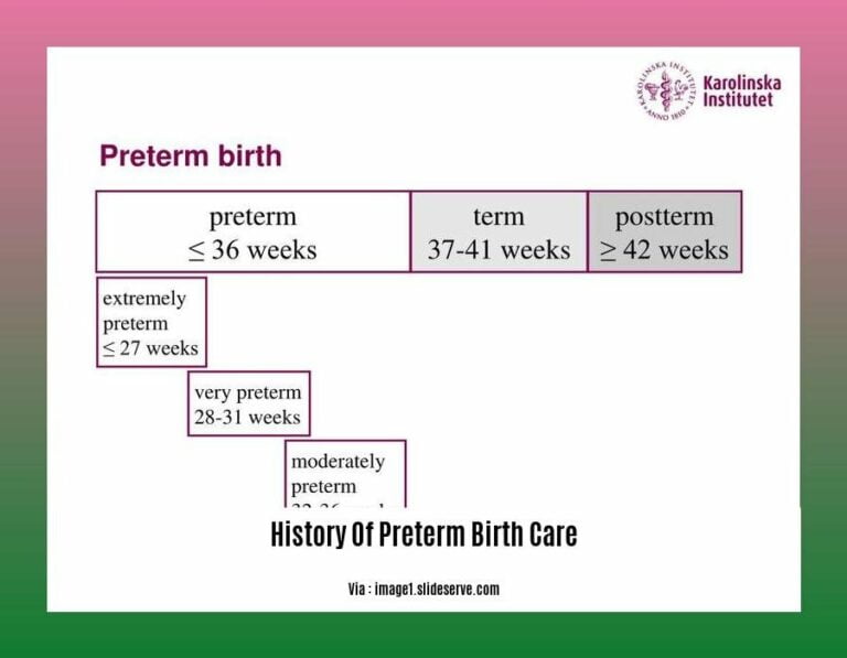 - The History of Preterm Birth Care: Unlocking the Secrets of Premature ...