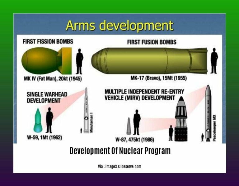 - Development of nuclear program: assessing risks and opportunities