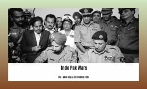 Analyzing the Devastating Impacts of the Indo-Pak Wars