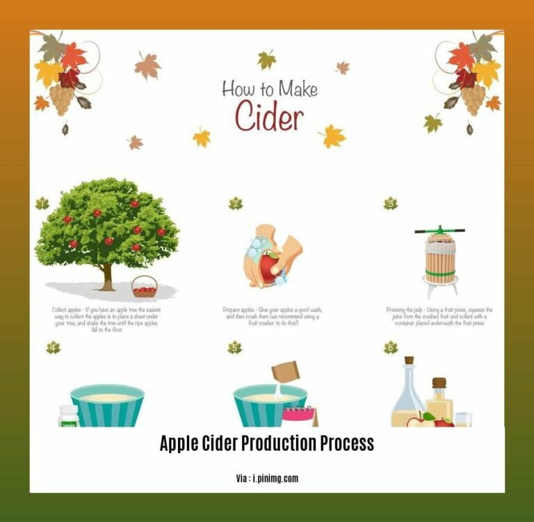 A Comprehensive Guide to the Apple Cider Production Process