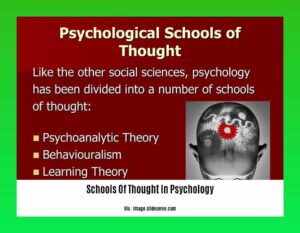 Schools of Thought in Psychology: An Exploration of Diverse Perspectives