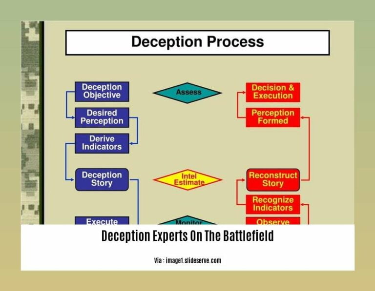 Deception Experts on the Battlefield: Unraveling the Web of Misinformation