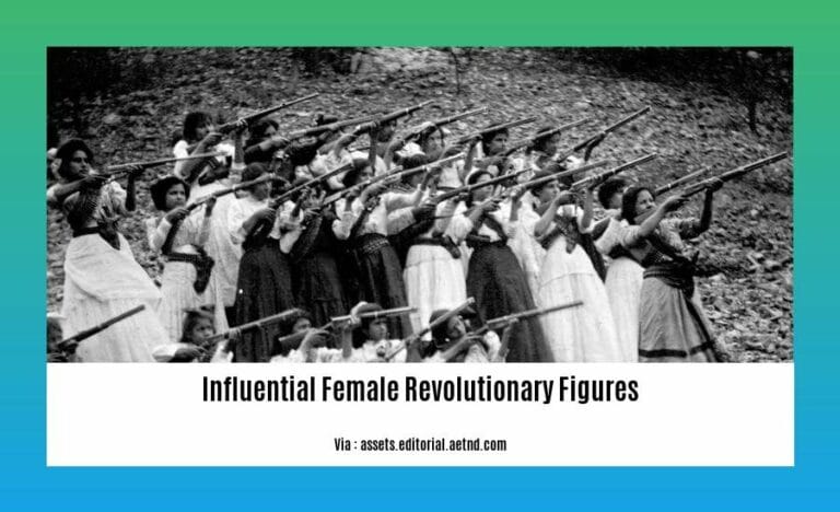 Influential Female Revolutionary Figures: Unsung Heroines Who Shaped ...