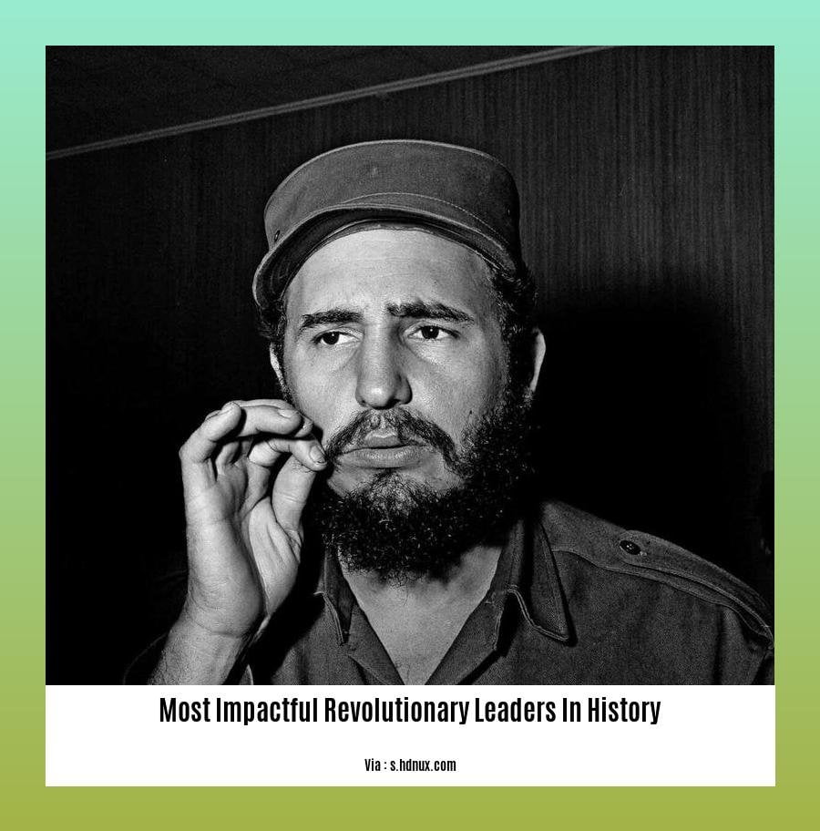 The Most Impactful Revolutionary Leaders in History Through the Lens of ...