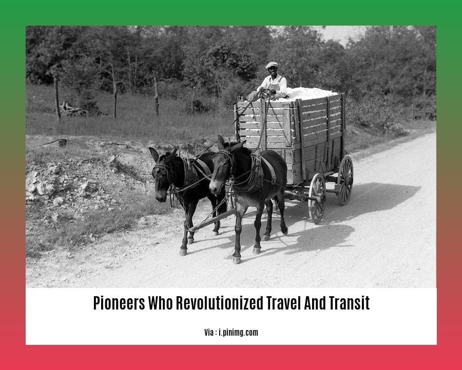Pioneers Who Revolutionized Travel and Transit: Stories of Visionaries ...