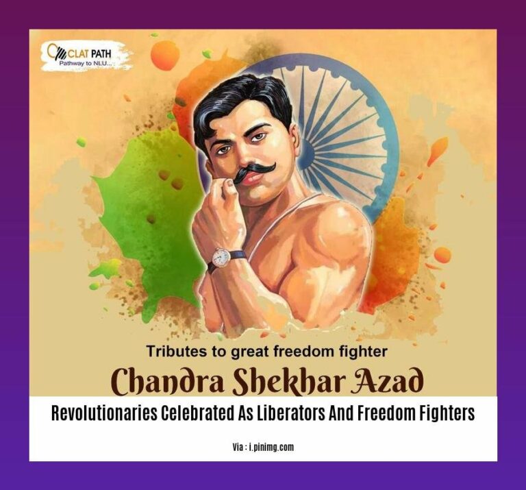 Understanding Revolutionaries Celebrated as Liberators and Freedom ...