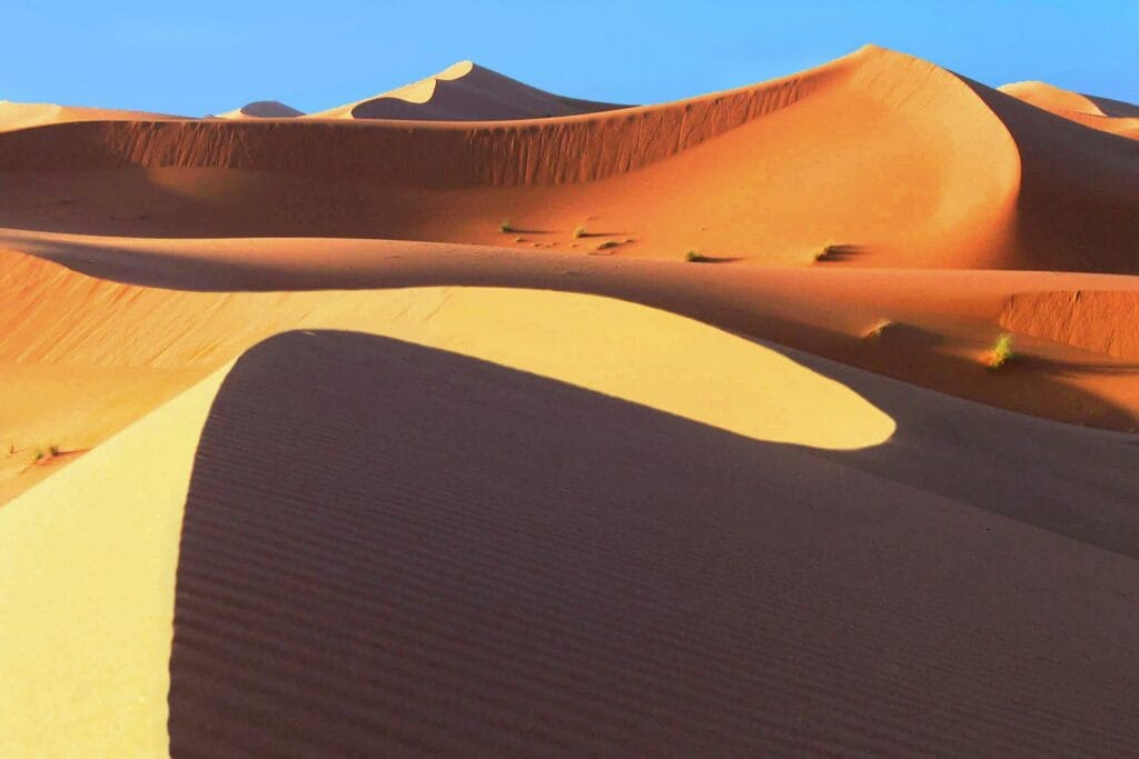 Unveiling the Sahara: Journey to the Heart of Africa's Largest Desert