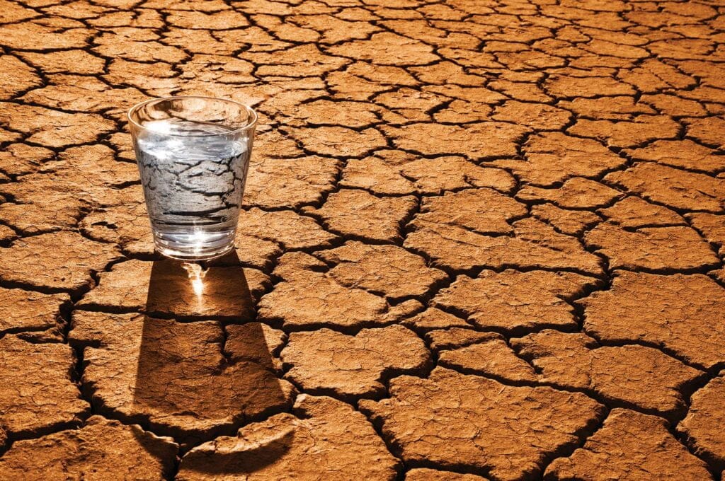 Unlocking the Secrets of Water in the Desert: A Guide to Survival