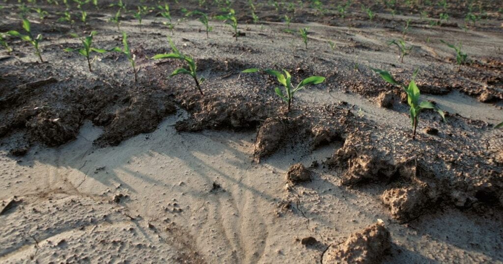 Reshaping the Earth: Unveiling the Transformative Impacts of Erosion