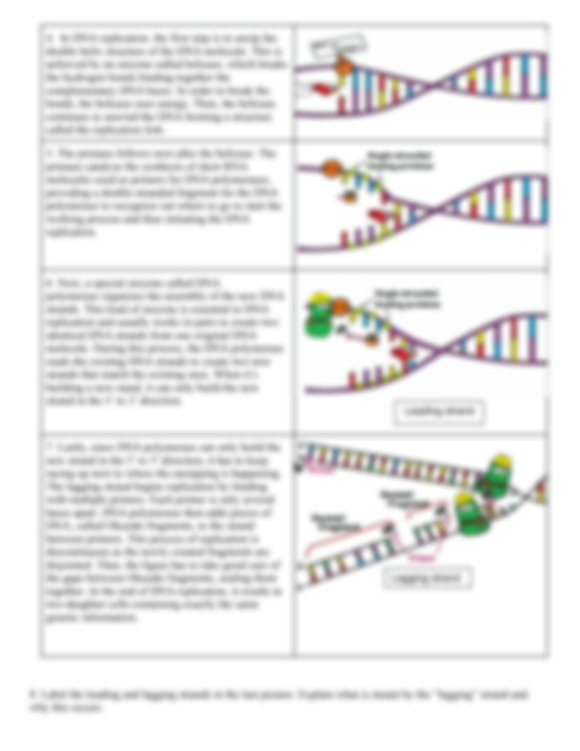 Unlocking Science: Your Guide to Amoeba Sisters Video Recap Answers