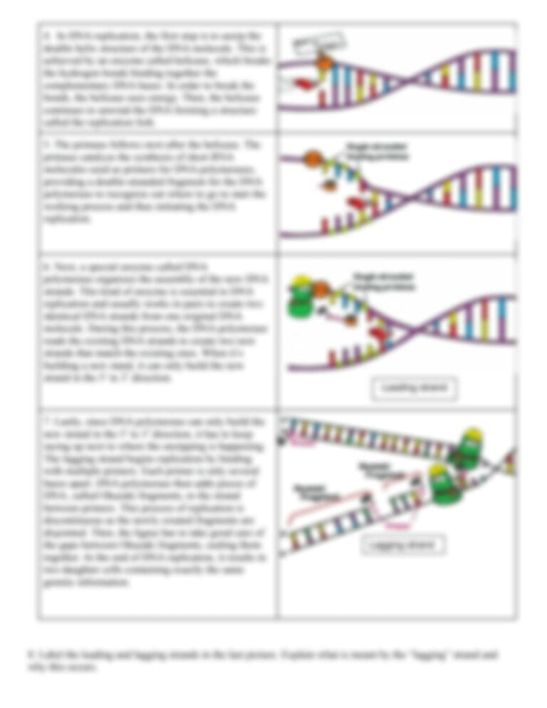 Unlocking Science: Your Guide to Amoeba Sisters Video Recap Answers