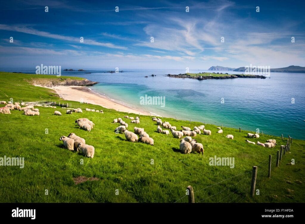 Unforgettable Ireland: Exploring the History and Beauty of the Blasket ...