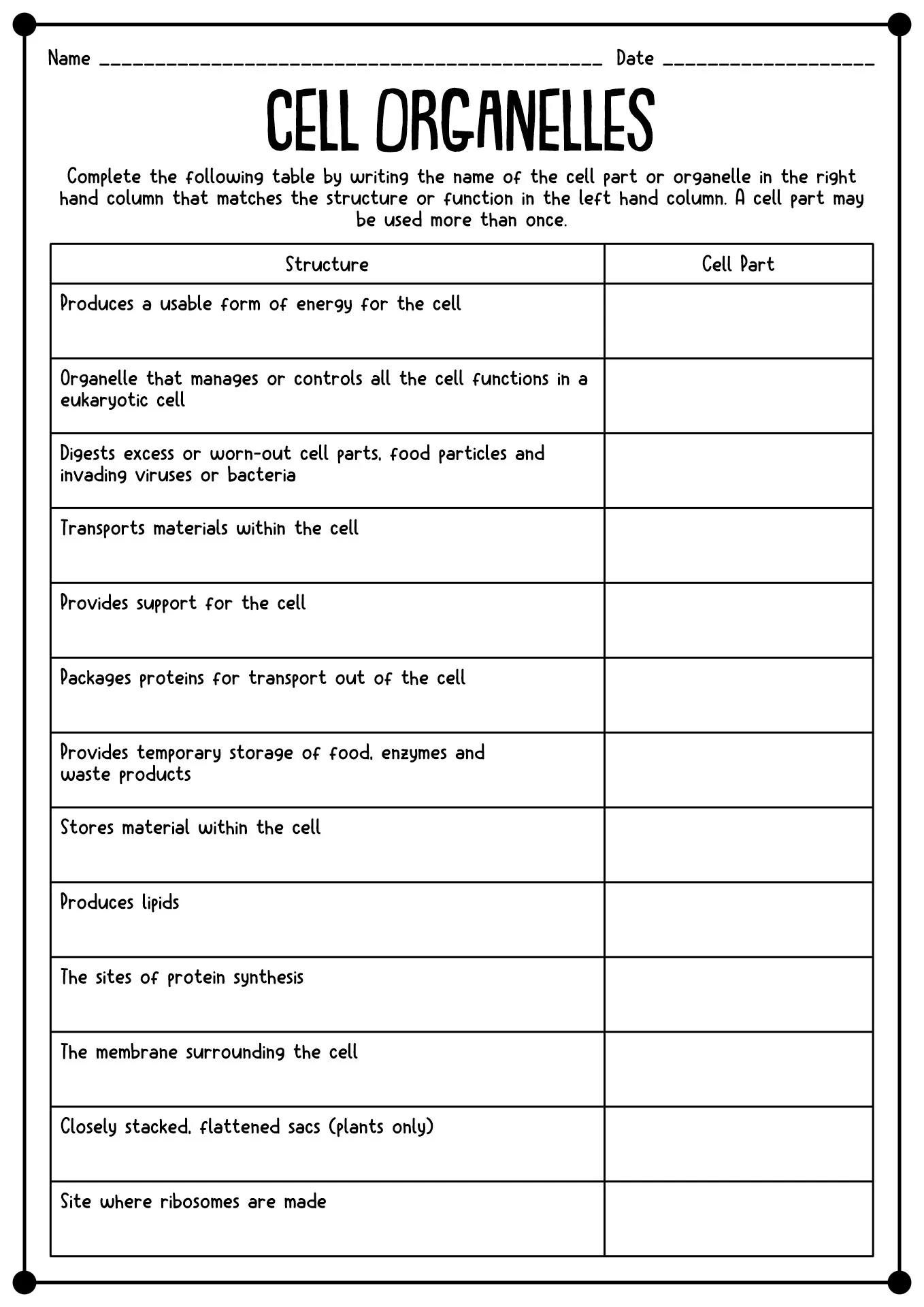 Cell Function Worksheet Biology