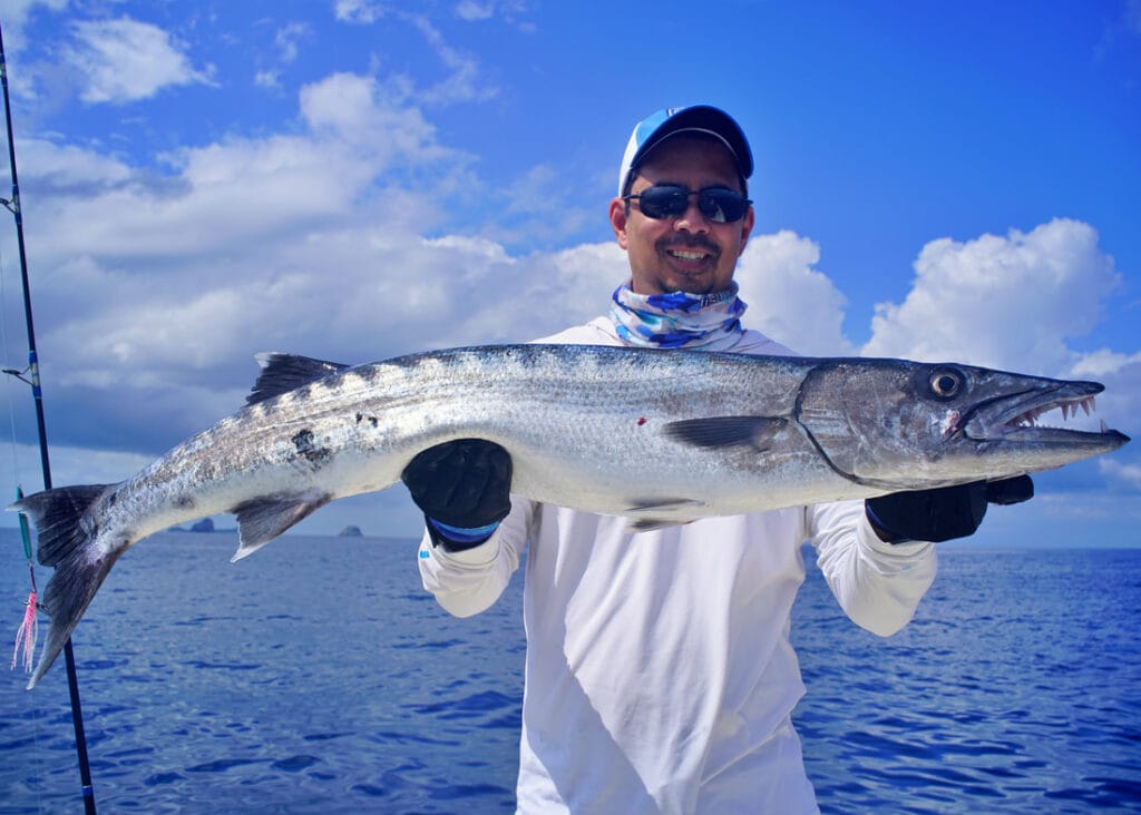 Barracuda Attacks: Fact vs. Fiction: Do They Really Pose a Threat to ...