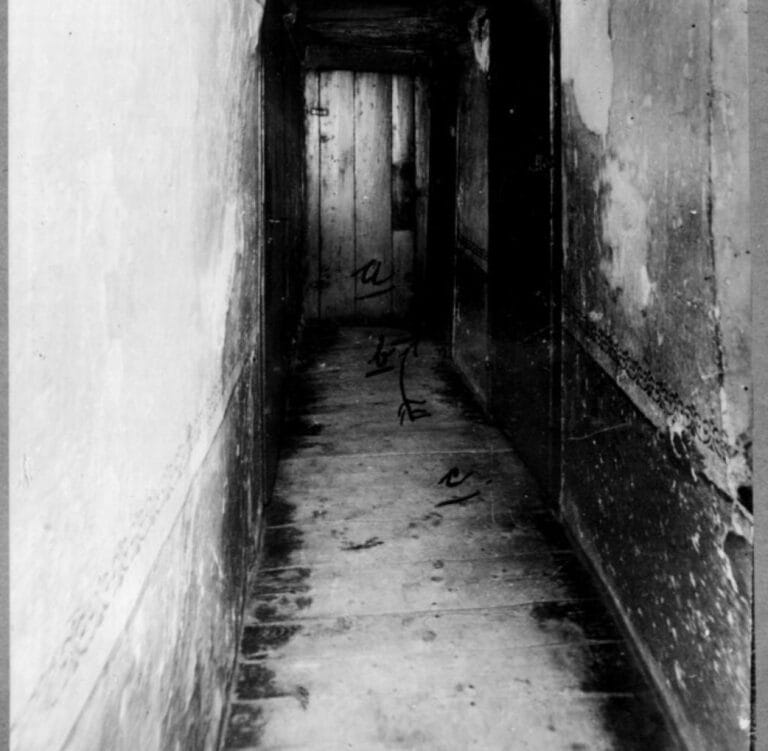 The Haunting Crimes of Fritz Haarmann, the Butcher of Hanover