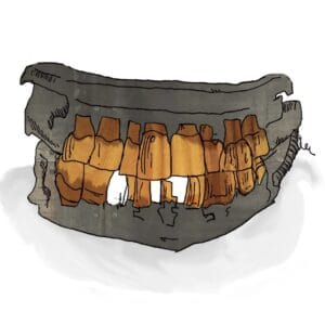 George Washington's Teeth: Separating Fact From the Wooden Myth