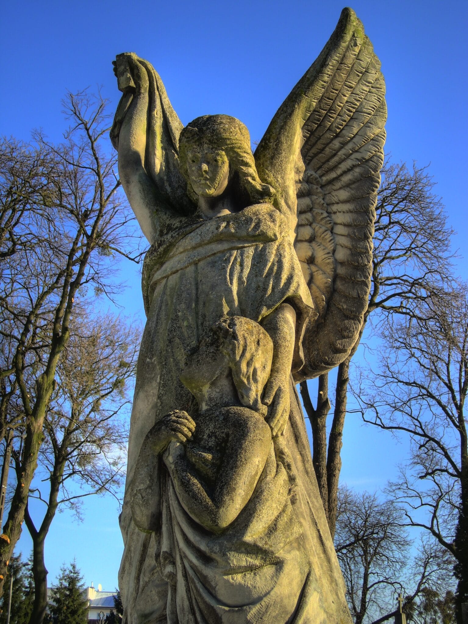 Beyond the Ordinary: Discovering Unique Guardian Angel Images