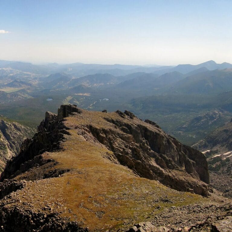 Harold Henthorn: The Disturbing True Story of the Black Widow Husband