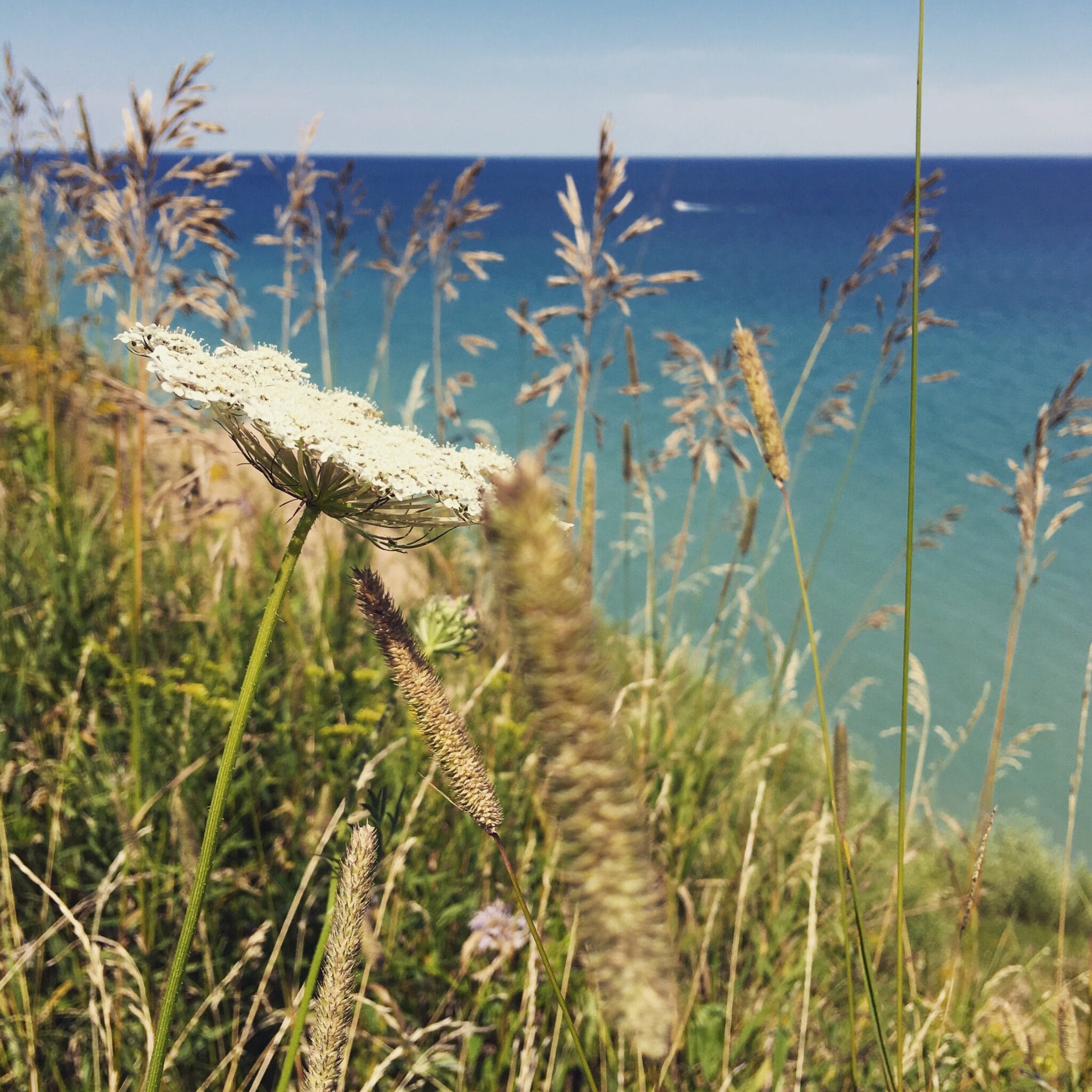 Lion's Den Gorge: Hike to Breathtaking Bluffs & Lake Michigan Views