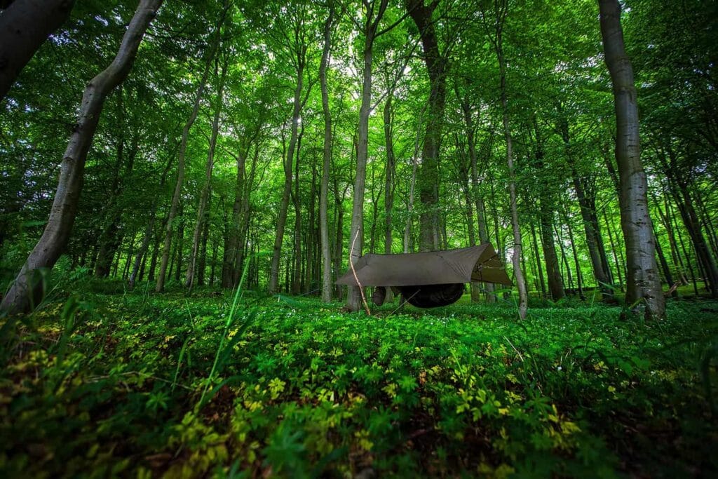 Warbonnet Hammocks: The Ultimate Guide to Choosing the Right Setup for ...