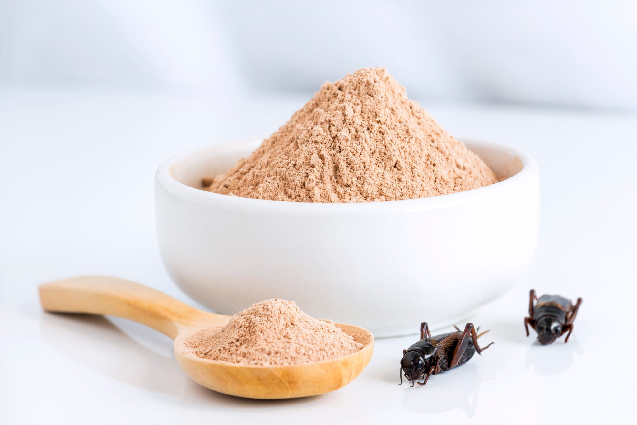 The Ultimate Guide to Acheta Powder Products: Benefits, Uses, and ...