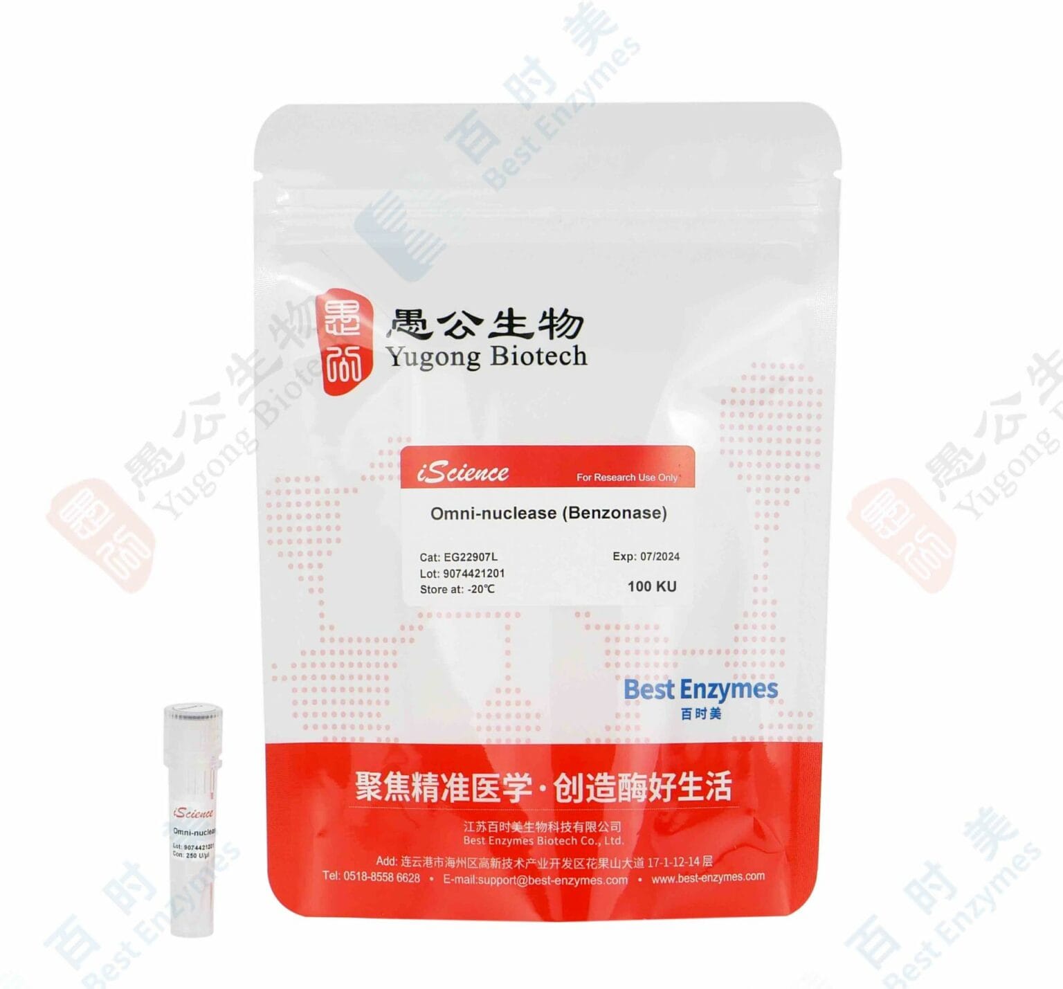 Benzonase Nuclease: A Comprehensive Guide for Biopharmaceutical ...