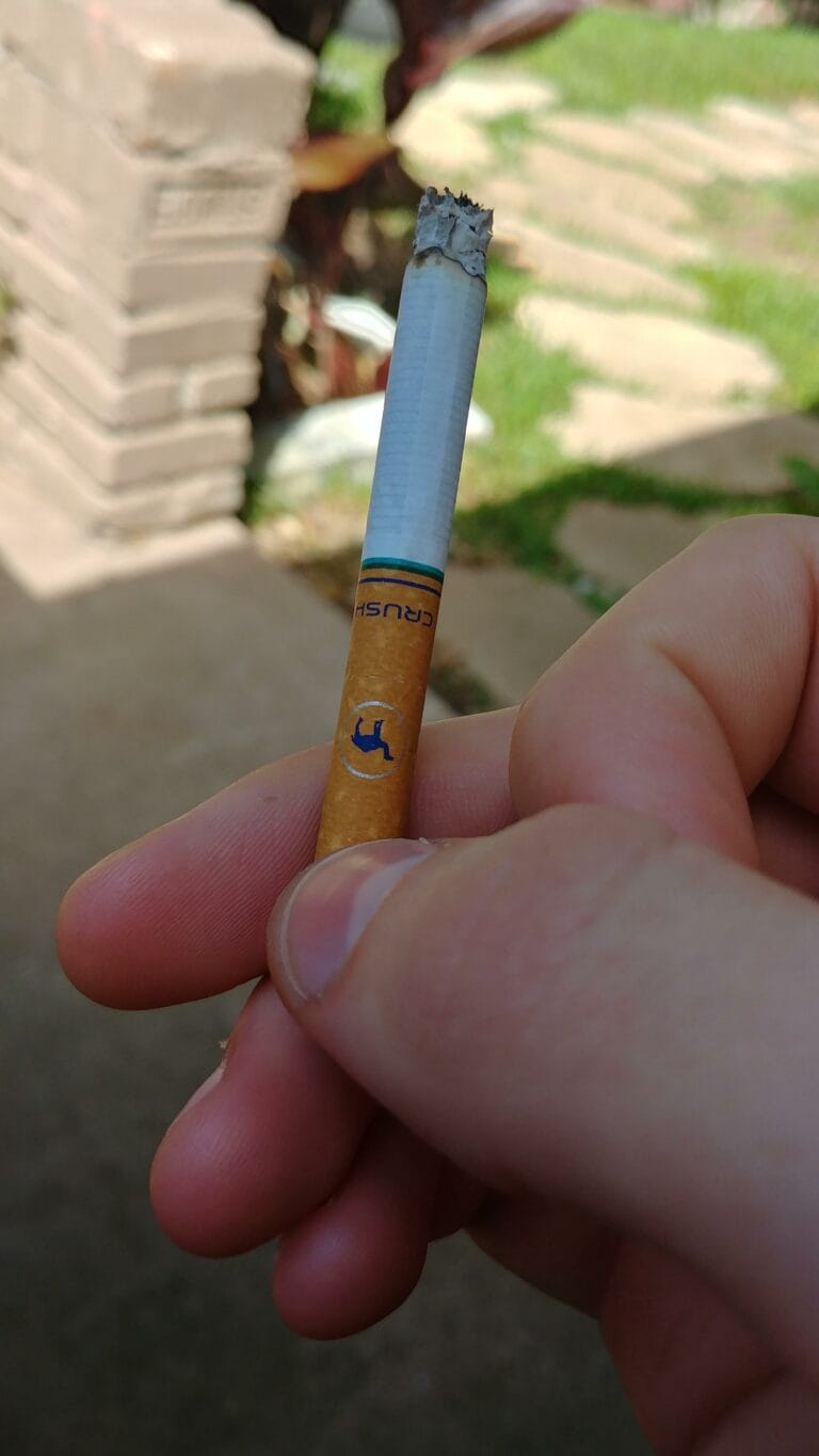 Camel Click Menthol: A Comprehensive Guide to Flavors, Availability ...